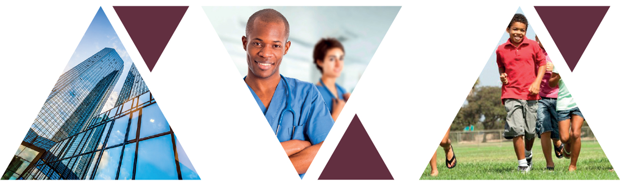 AFROCENTRIC HEALTH SOLUTIONS | Afrocentric | Integrated Annual Report 2016